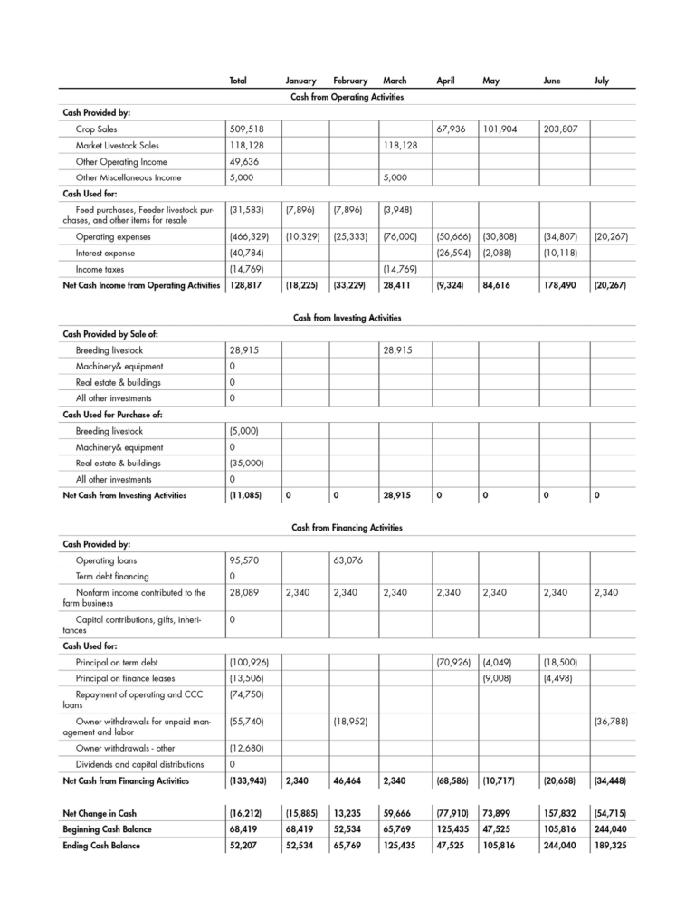 Free Farm Cash Flow Statement Template & Example