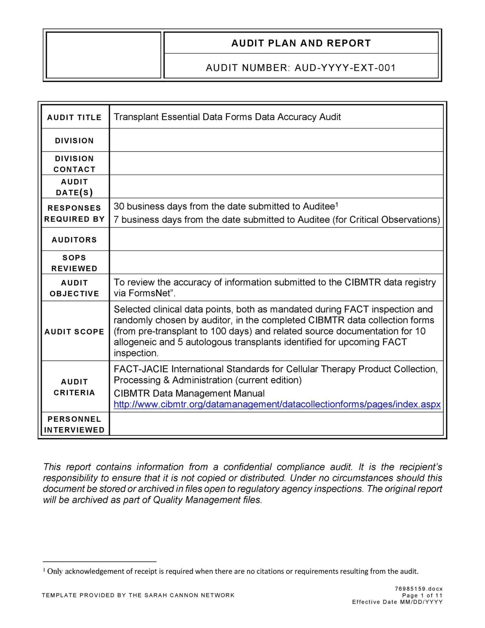 Free Financial Statement Audit Plan Template & Example
