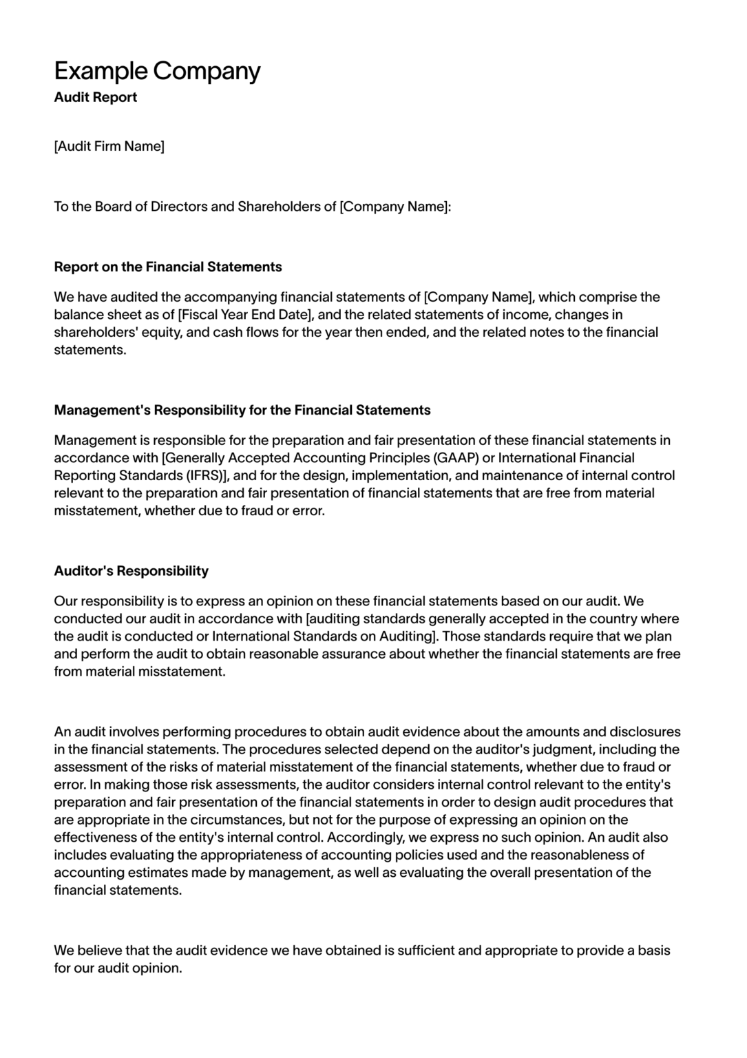 Free Financial Statement Audit Report Template & Example