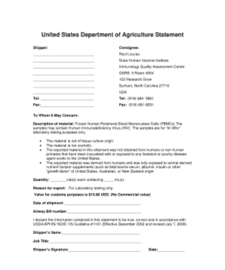 Free Editable US Bank Statement Template [PDF & Excel]