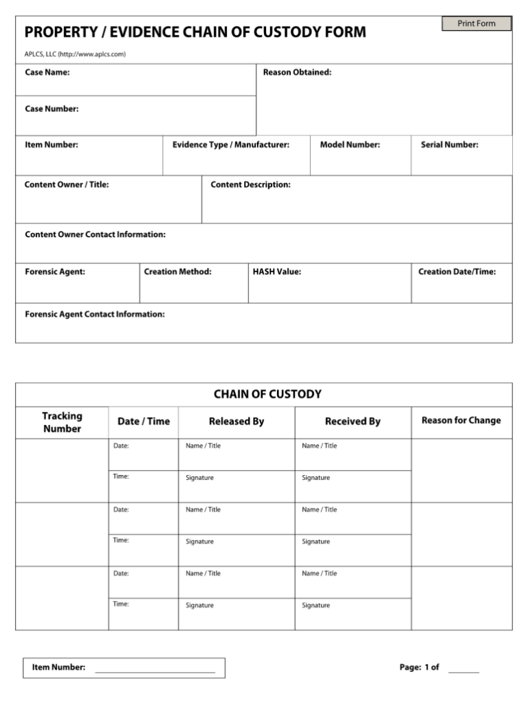 Ediscovery Chain of Custody Form Template